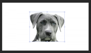 How to Make a Pattern in Photoshop (3 Easy Steps + Tips)