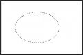 How to Make a Perfect Circle in Photoshop (3 Steps)