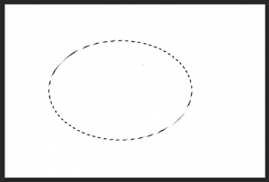 How to Make a Perfect Circle in Photoshop (3 Steps)