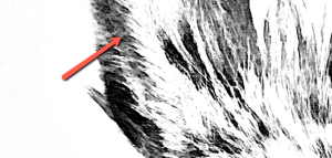 10 Steps to Make Photo Look Like Drawing in Photoshop