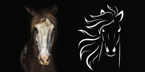 How to Make a Vector Image in Photoshop (4 Easy Steps)