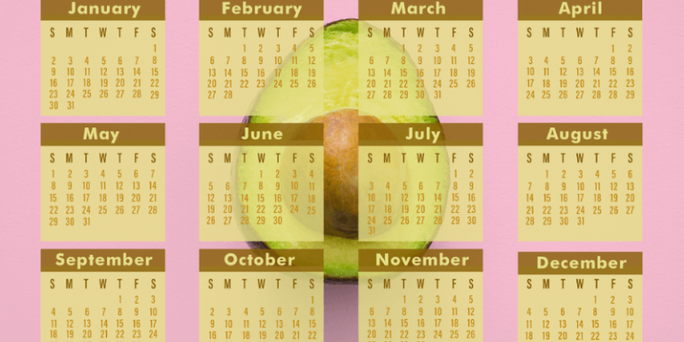 7 Steps to Design a Customized Calendar in Photoshop