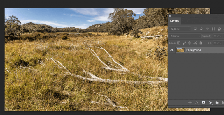 2 Quick & Easy Ways to Make Grass Greener in Photoshop