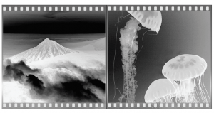 How to Make a Negative in Photoshop (Frame & Image)