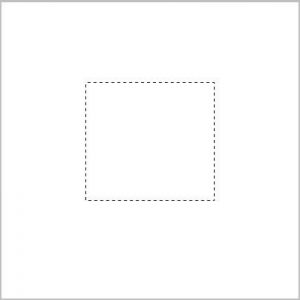 How to Make a Negative in Photoshop (Frame & Image)