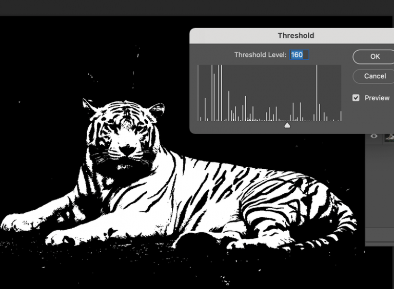 How to Make a Stencil in Photoshop (5 Quick Steps)