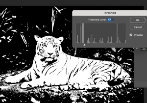 How to Make a Stencil in Photoshop (5 Quick Steps)