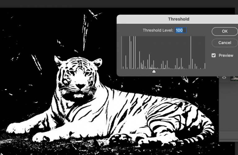 How to Make a Stencil in Photoshop (5 Quick Steps)