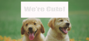 3 Quick Ways to Make Text Transparent in Photoshop