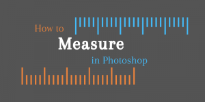 How to Measure in Photoshop (Step-by-Step Guide)