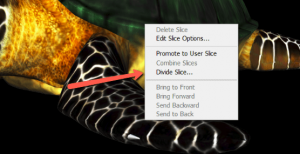 How to Print a Large Image on Multiple Pages in Photoshop (4 Steps)