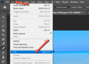 3 Ways to Remove Objects in Photoshop (Step by Step)