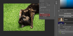 5 Ways to Remove Image Background in Photoshop