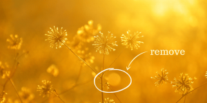 4 Ways to Remove Lens Flare in Photoshop (Bonus Tips)