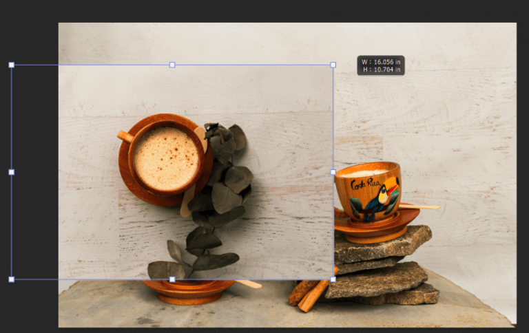 How to Resize a Layer in Photoshop (Quick 3-Step Tutorial)