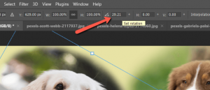 How to Rotate a Layer (or Multiple Layers) in Photoshop