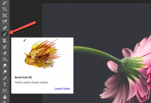 How to Rotate Brushes in Photoshop: 2 Steps (with Shortcut)