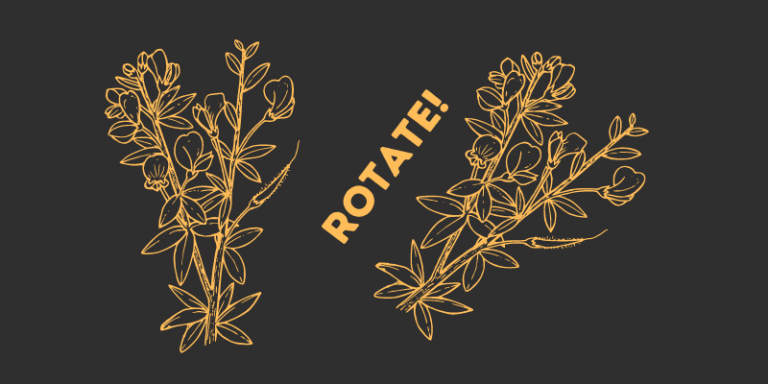 How to Rotate Shapes/Objects in Photoshop (Steps + Tips)