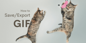 How to Save/Export a GIF in Photoshop (Quick Steps)