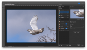 4 Ways to Scale an Image In Photoshop (Detailed Guides)
