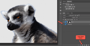 How to Select Only One Color in Photoshop (Step by Step)