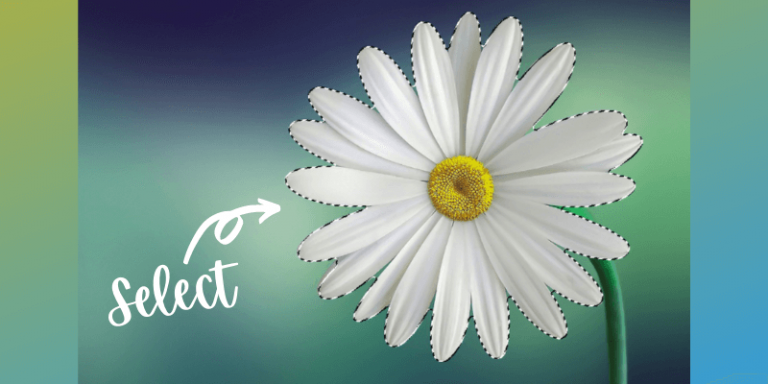 How to Select an Image in Photoshop (8 Selection Tools)