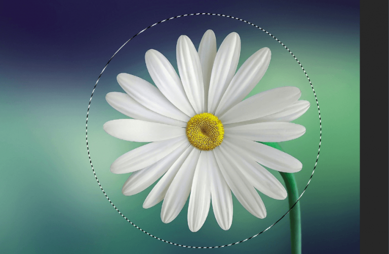 How to Select an Image in Photoshop (8 Selection Tools)