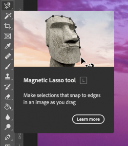 How to Select Pixels in Photoshop (Quick Guides)