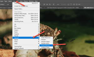 4 Ways to Sharpen an Image in Photoshop (With Steps)