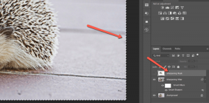 How to Sharpen Edges in Photoshop (4-Step Guide)