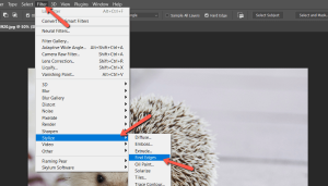 How to Sharpen Edges in Photoshop (4-Step Guide)