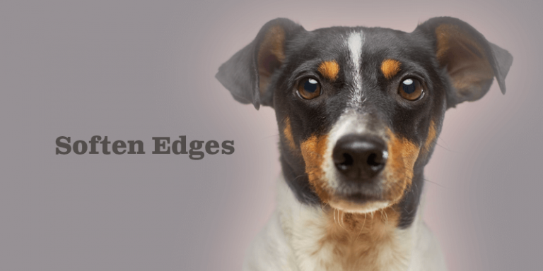 4 Ways to Soften Edges in Photoshop (Detailed Guides)