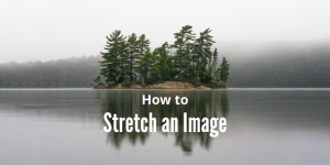 2 Ways to Stretch an Image in Photoshop (Step by Step)