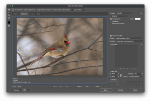 2 Ways to Tile Print in Photoshop (Step-by-Step Guide)