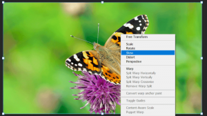 5 Easy Ways to Transform an Image in Photoshop (Guide)