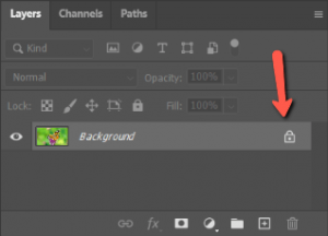 5 Easy Ways to Transform an Image in Photoshop (Guide)