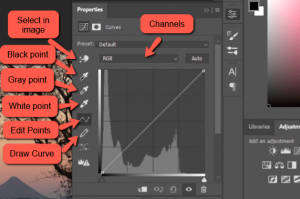 How to Use Curves in Photoshop (Detailed Tutorials)