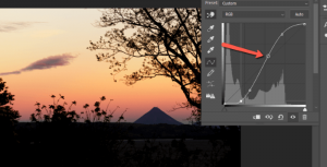 How to Use Curves in Photoshop (Detailed Tutorials)