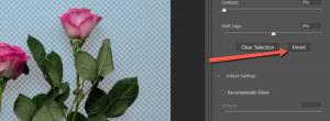 How to Use Magic Wand Tool in Photoshop (6 Steps)