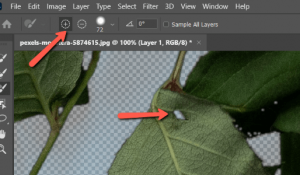 How to Use Magic Wand Tool in Photoshop (6 Steps)