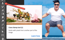 How to Use the Clone Stamp Tool in Photoshop (4 Steps)