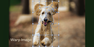 How to Warp Image in Photoshop (3 Easy Steps + Tips)
