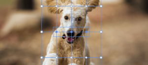 How to Warp Image in Photoshop (3 Easy Steps + Tips)