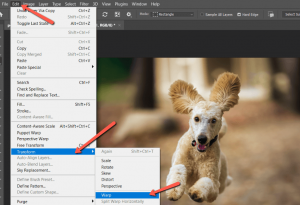 How to Warp Image in Photoshop (3 Easy Steps + Tips)