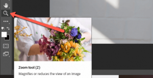 How to Zoom In and Out in Photoshop (5 Quick Methods)