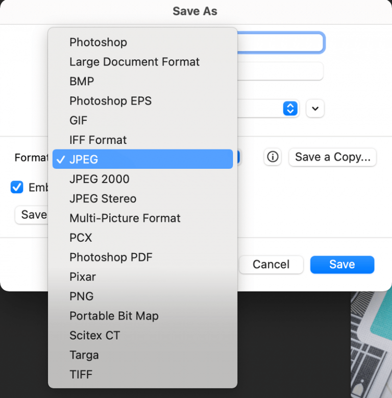 3 Best Image Format for the Web: JPEG vs PNG vs GIF