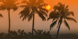 2 Easy Ways to Make a Transparent Gradient in Photoshop