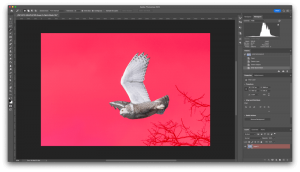 How to Use Layer Masks in Photoshop (Guides & Tips)