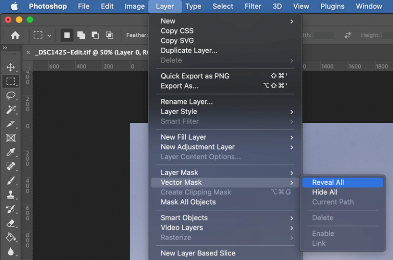 How to Use Layer Masks in Photoshop (Guides & Tips)