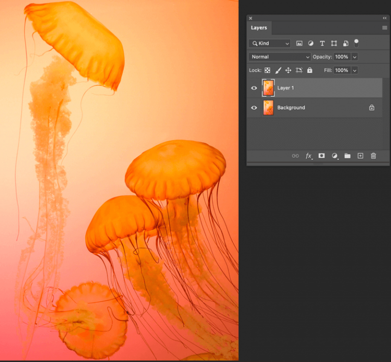 What is Step and Repeat in Photoshop (and How to Use It)
